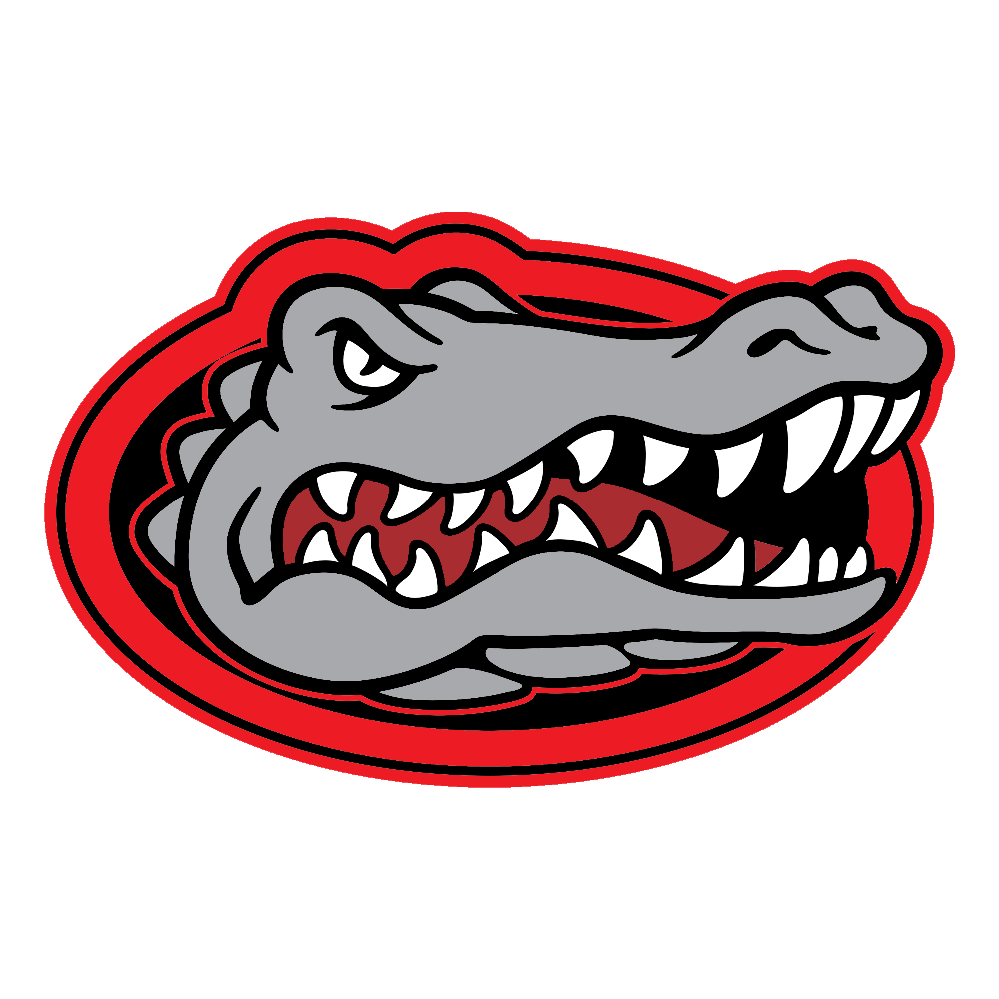 Competitive Teams | Madison Area YMCA